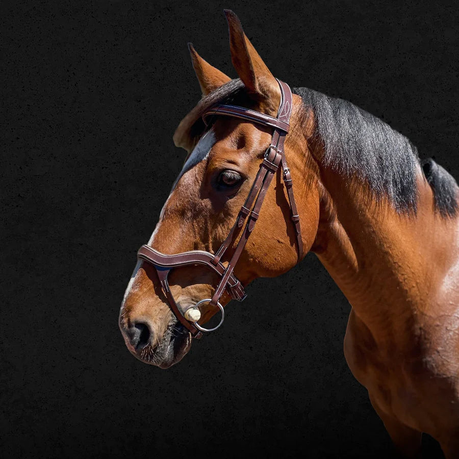 Grainge – The Tack Box Saddleworld