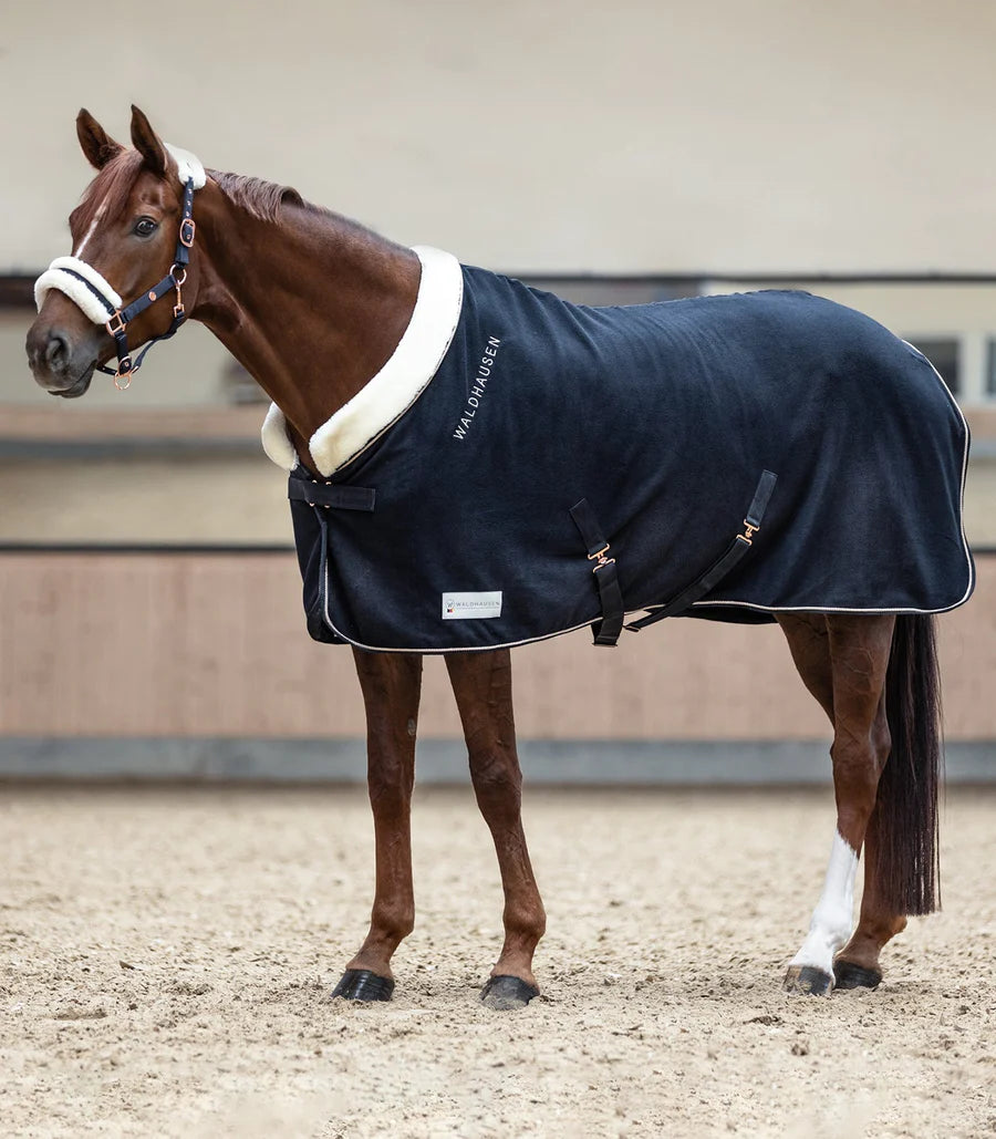 Waldhausen – The Tack Box Saddleworld