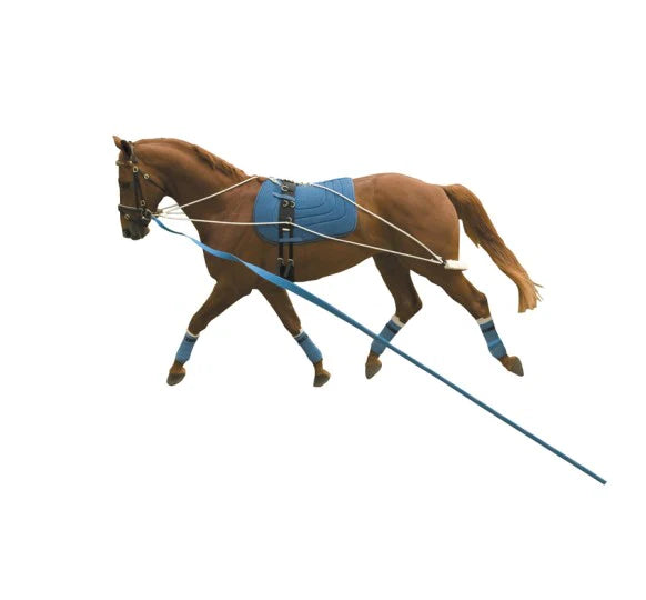 Lunging & Training – The Tack Box Saddleworld