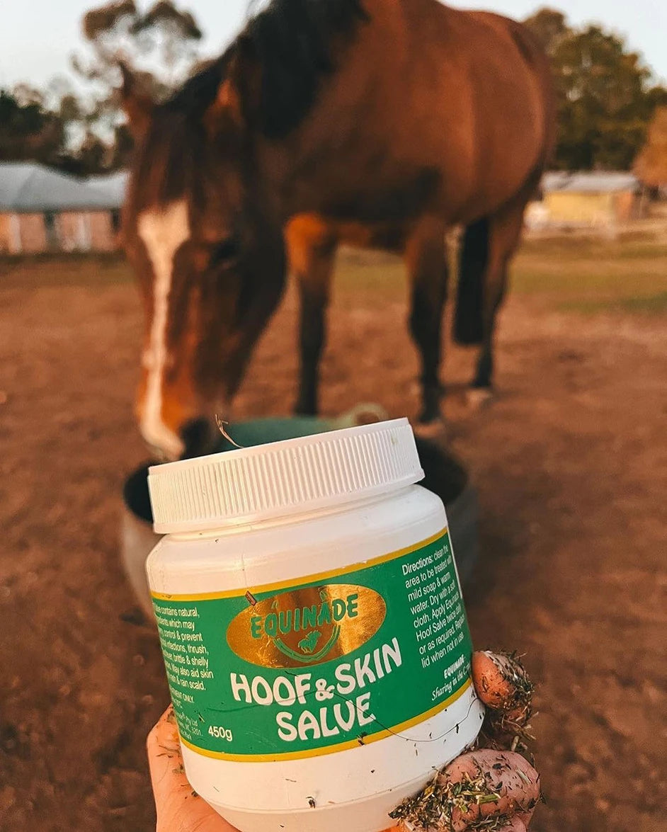 Equinade – The Tack Box Saddleworld