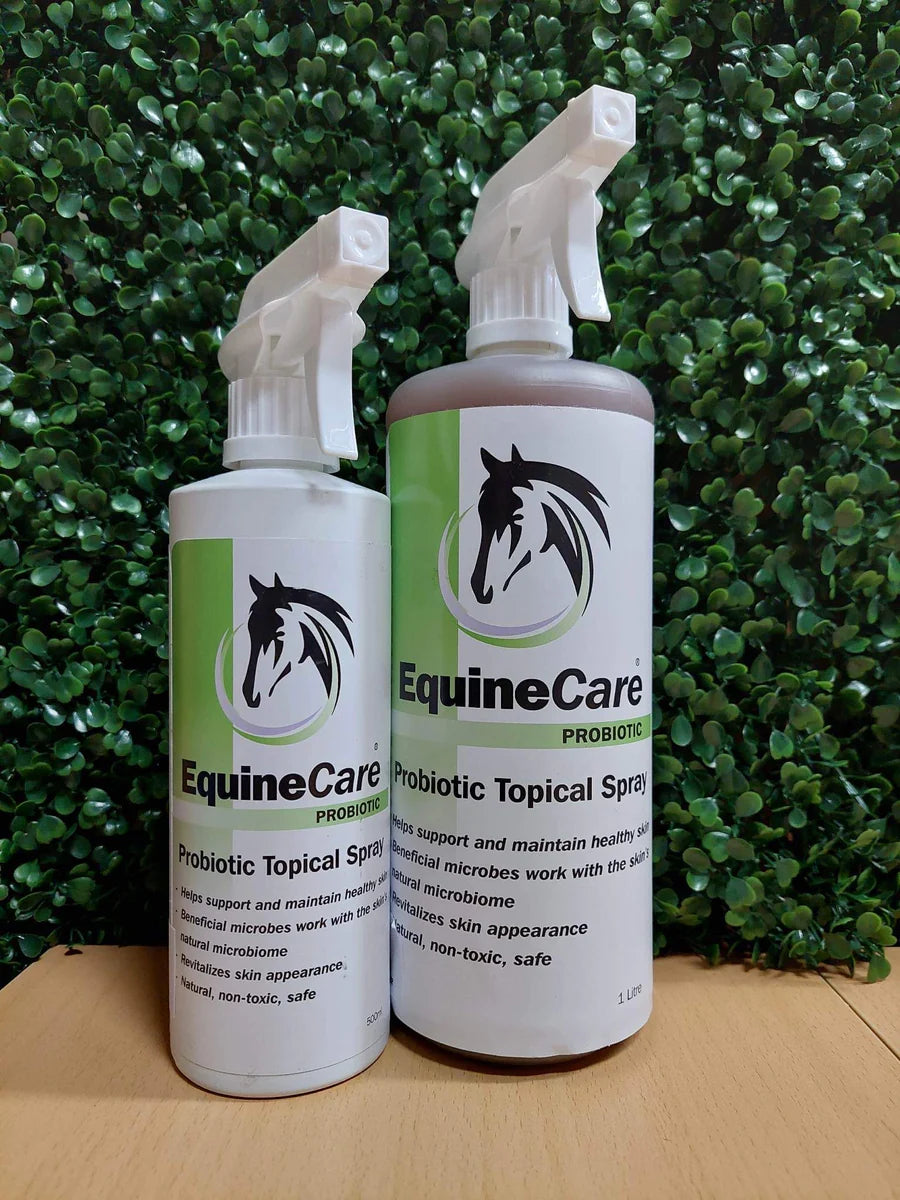 Medical – The Tack Box Saddleworld