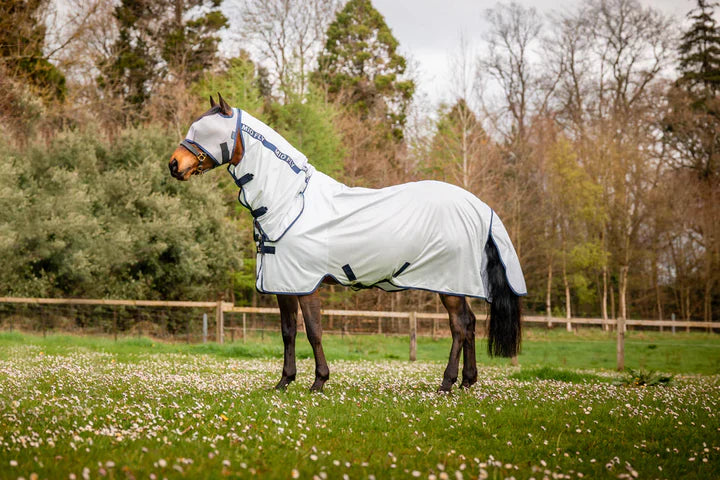Summer Horseware – The Tack Box Saddleworld