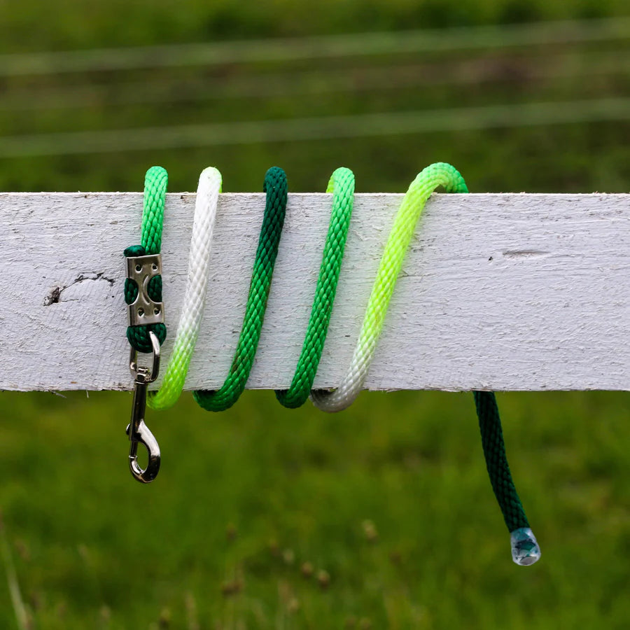 Stable & Tack – The Tack Box Saddleworld