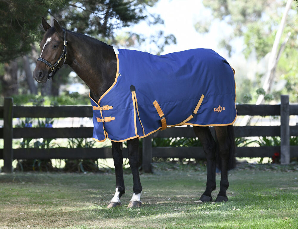 Saxon Robust 600D Rug Medium – The Tack Box Saddleworld