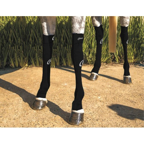 Hidez Compression Sock – The Tack Box Saddleworld