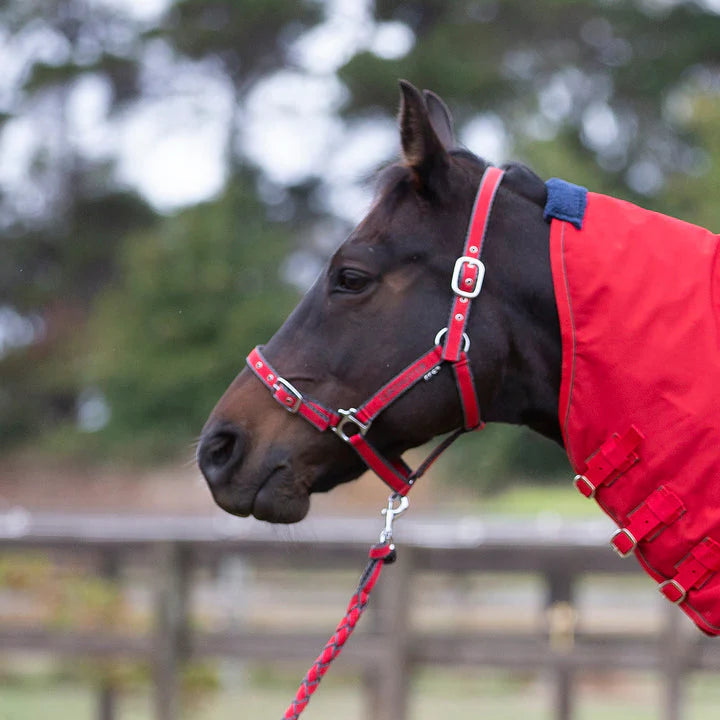 Eurohunter Comfort Halter And Lead Set – The Tack Box Saddleworld