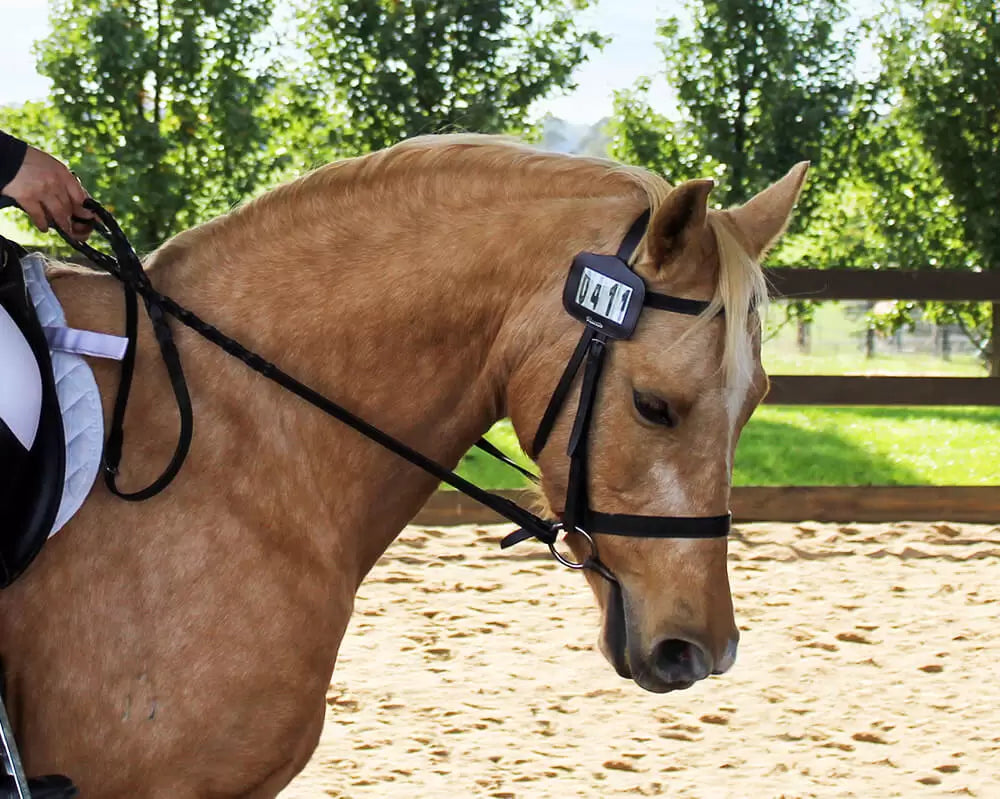 Visentin Silver Magnetic Leather Bridle Number Holder – The Tack Box ...