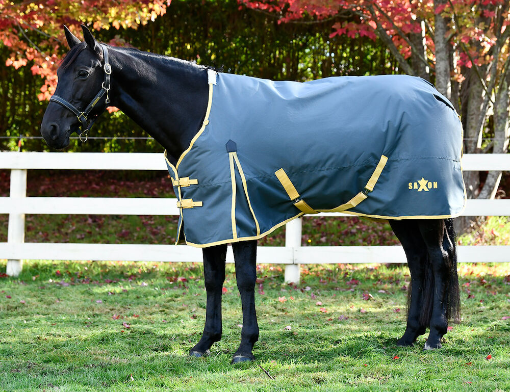 Saxon Robust 600D Rug Medium – The Tack Box Saddleworld