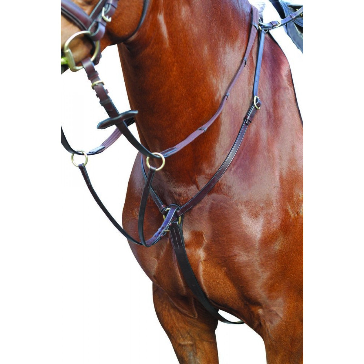 Kincade Event/hunt Breastplate – The Tack Box Saddleworld
