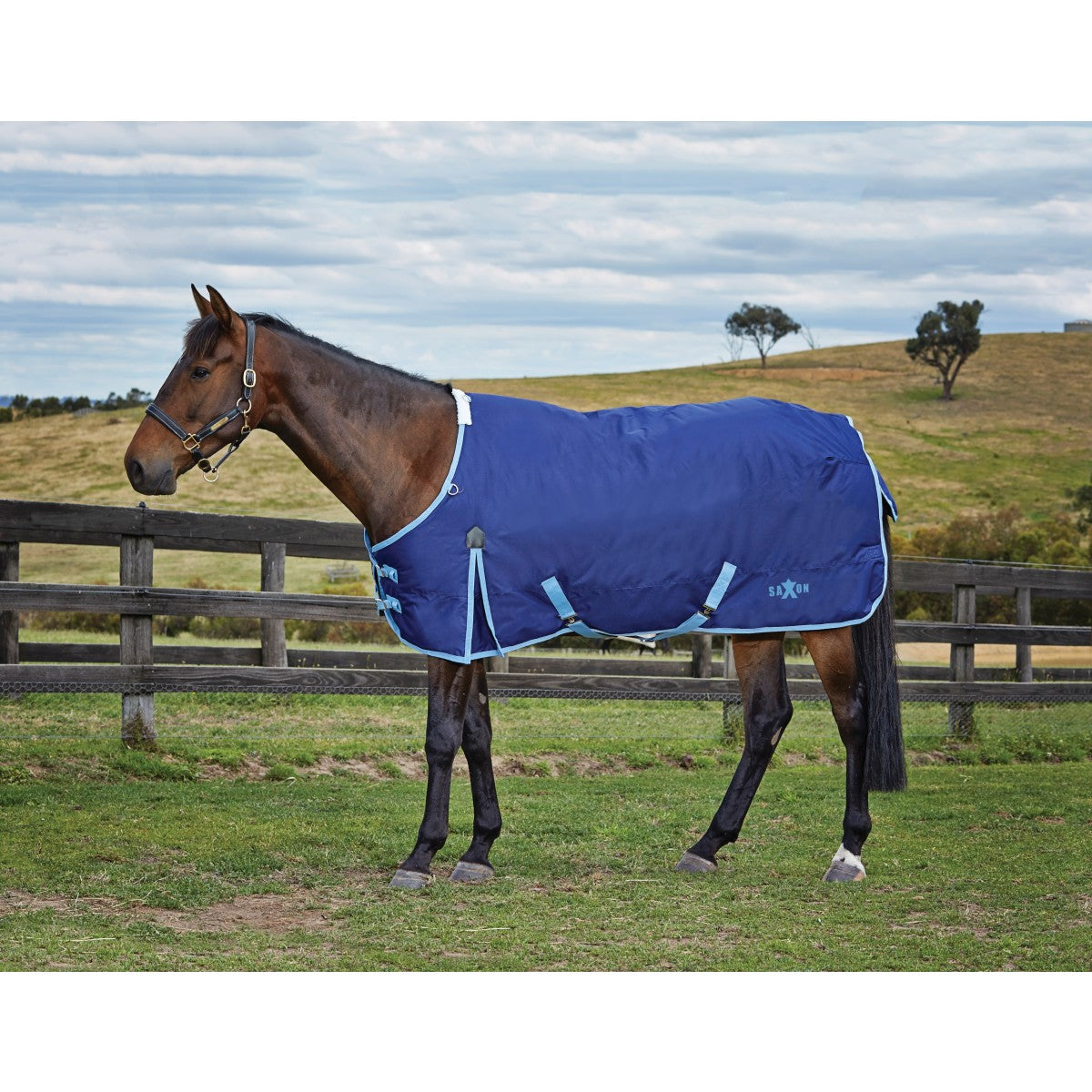 Saxon 600D Rug ~The Tack Box Saddleworld