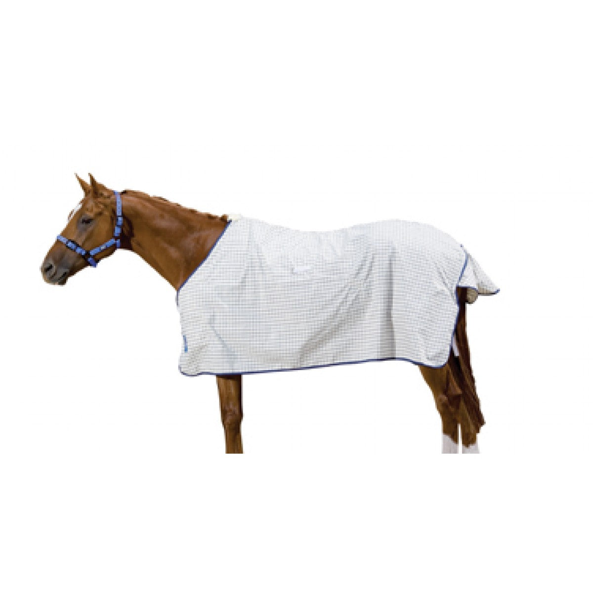 Skye Park Blueline Rug – The Tack Box Saddleworld