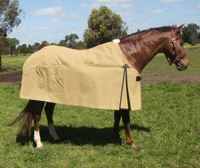 Skye Park Montana Unlined Rug – The Tack Box Saddleworld