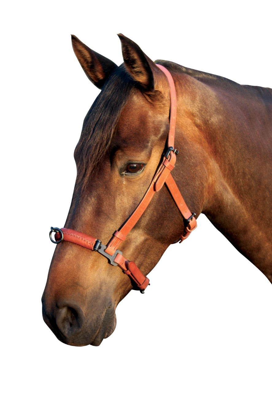 Spanish Lunge Cavesson – The Tack Box Saddleworld